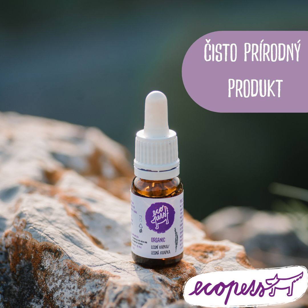 Ako na kliešte? Tipy a triky, ktoré fungujú: prírodné kvasnice + sérum ...